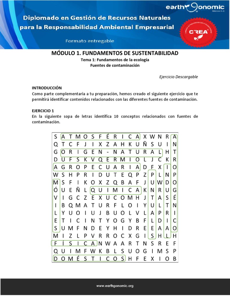 21-08-202 Entregable - Sopa - de - Letras | PDF | Contaminación | Pesticida