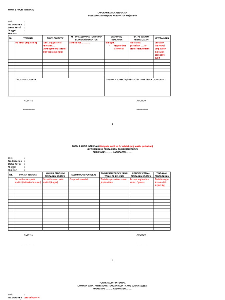 Form Audit Internal | PDF