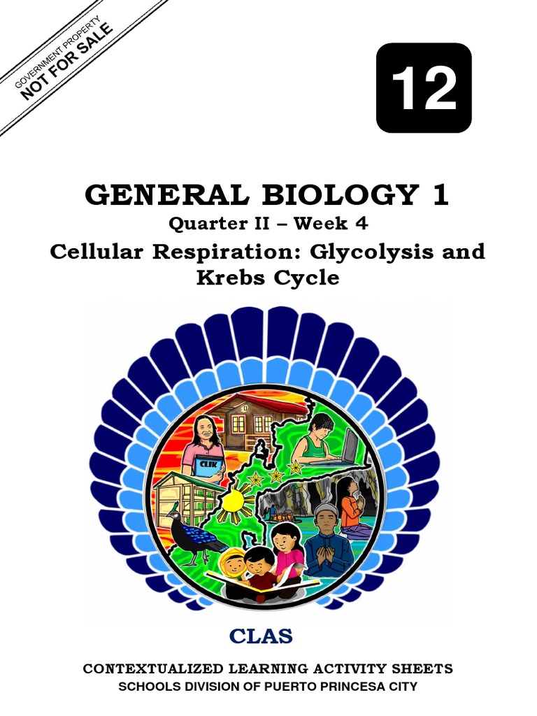 GenBio - q2 - Clas4 - Glycolysis KrebsCylce - For RO QA Carissa Calalin | PDF | Diet & Nutrition ...