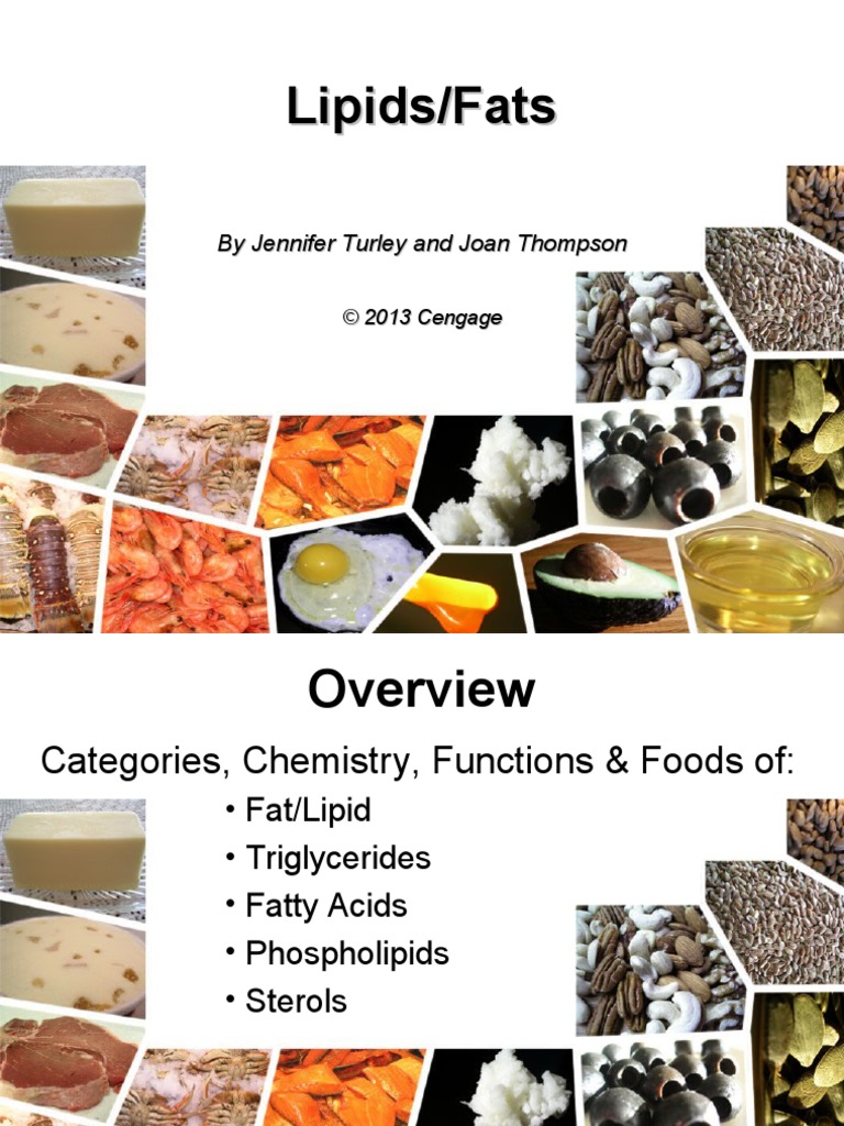 Module 1-4 Lipids and Fats | PDF | Fat | Triglyceride