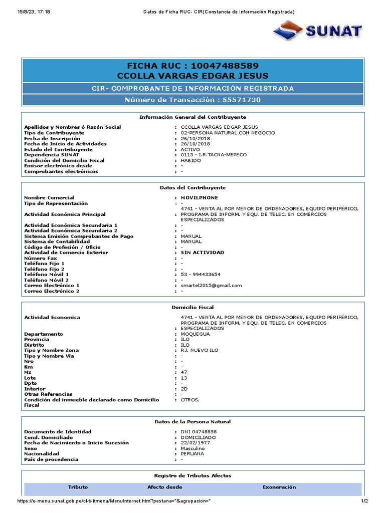 SUNAT Ficha RUC | PDF | Industrias de servicio