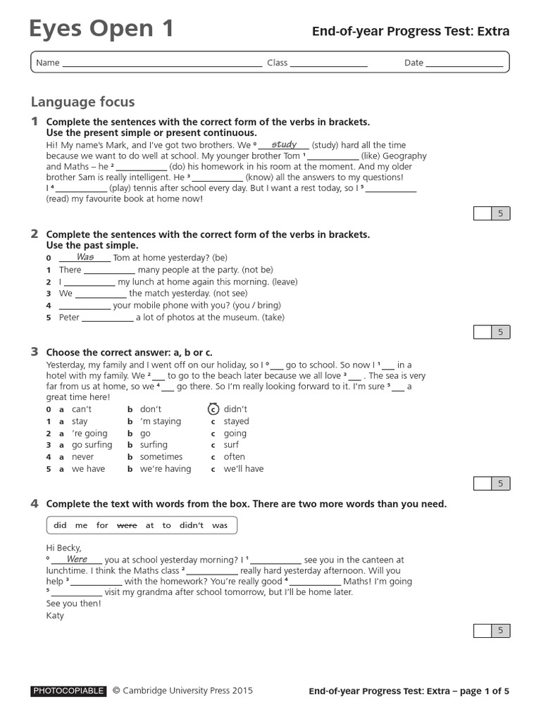 End-of-Year Progress Test: Extra | PDF