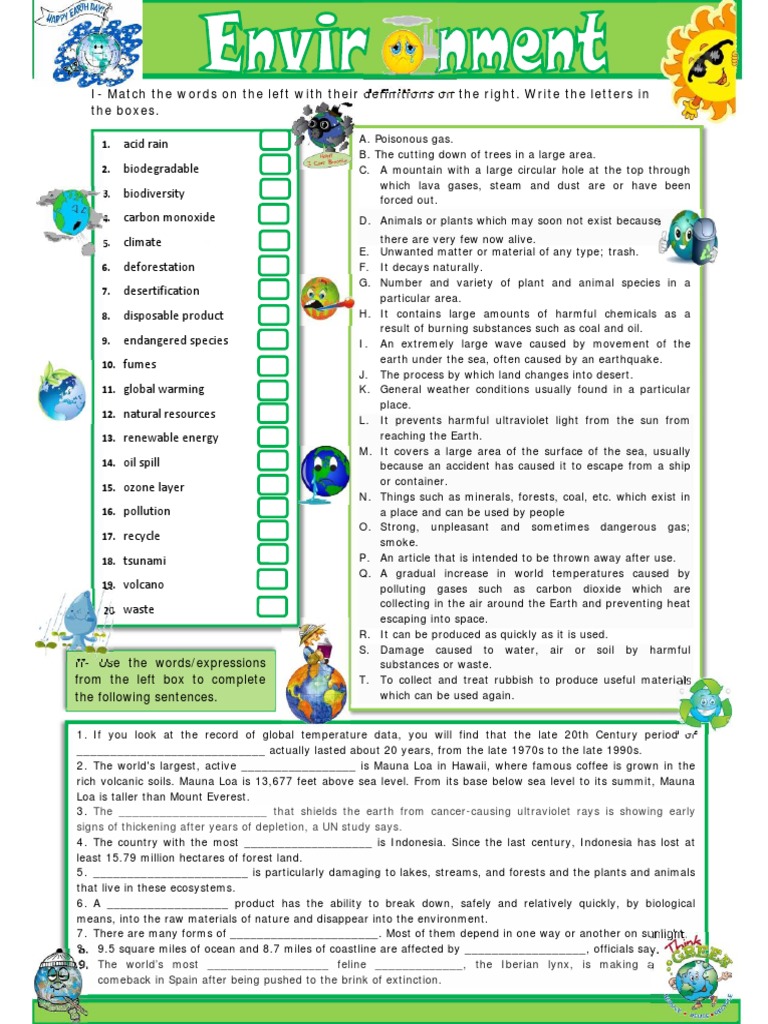 The Environment Vocabulary Practice | PDF | Earth | Natural Environment