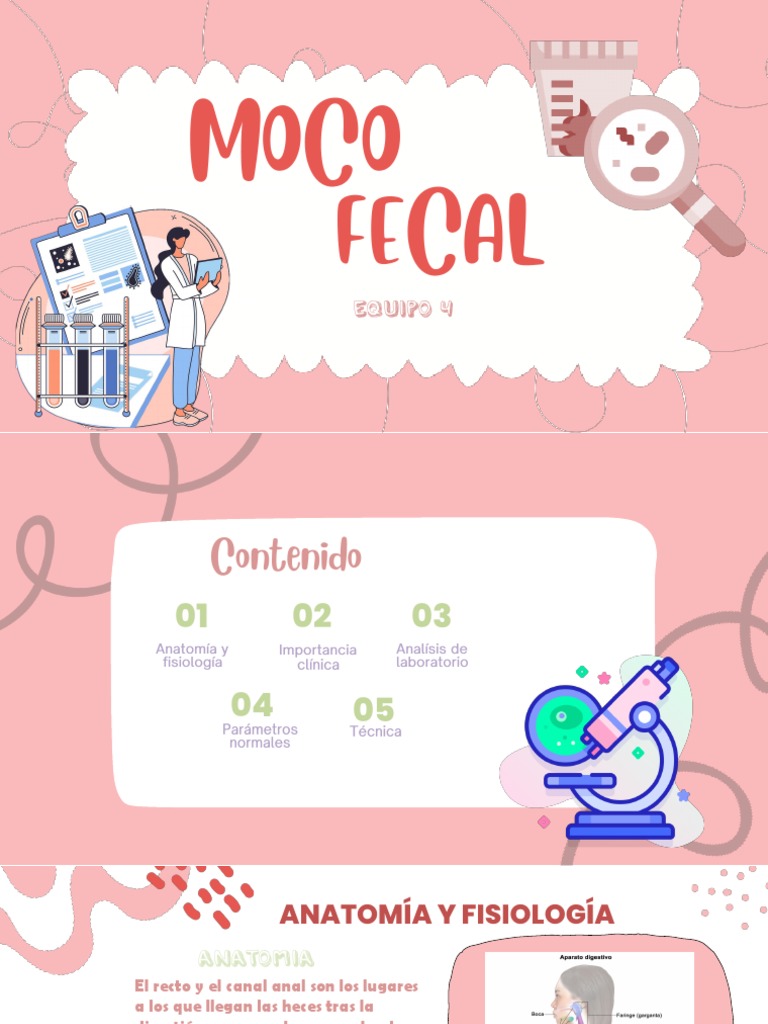Moco Fecal Equipo 4 | PDF | Heces | Digestión