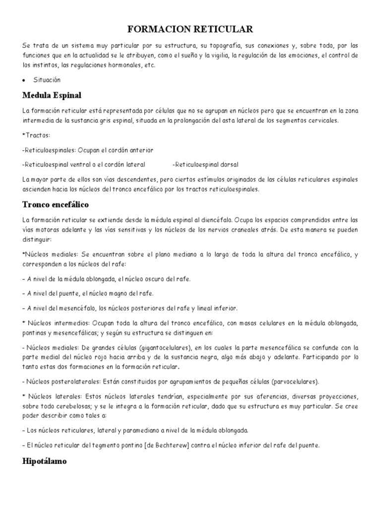 Formacion Reticular Pdf Médula Espinal Cerebelo
