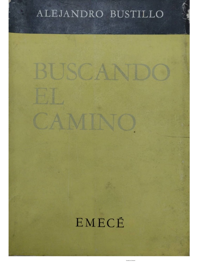 BUSCANDO EL CAMINO - ALEJANDRO BUSTILLO | PDF