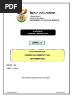 PBO Written Undertaking Guidelines | PDF | Taxes | Fiduciary