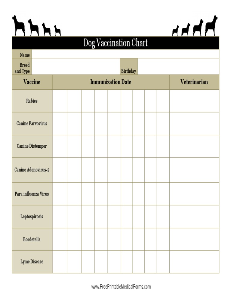 Dog Vaccination Chart | PDF