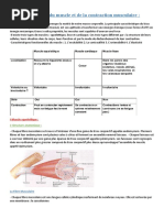 Cours STAPS L1 Physio Muscle 2024-2025 | PDF | Muscle | Contraction du muscle