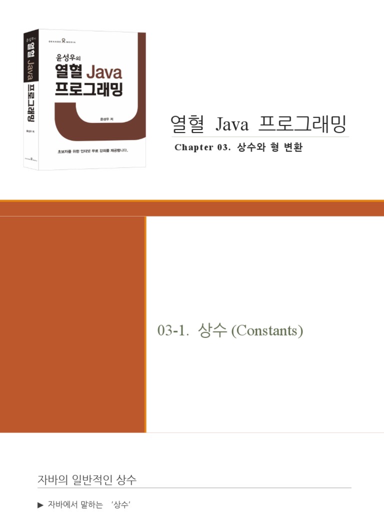 열혈 Java Chapter 03 | PDF