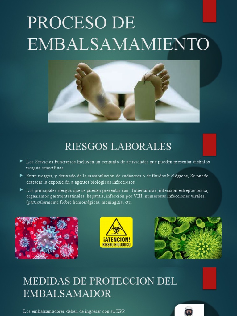 Procedimiento de Embalsamamiento de Cadáveres | PDF | Cadáver ...
