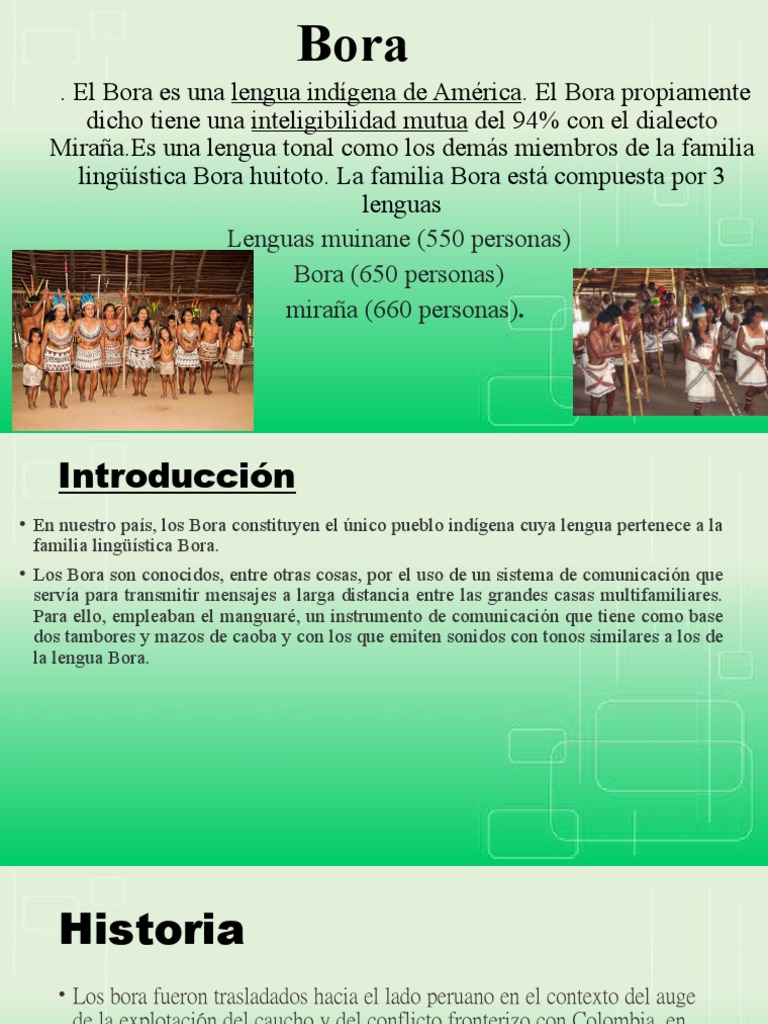 Bora | PDF