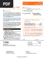 PSEG Sample Electric Bill | PDF | Cheque | Watt