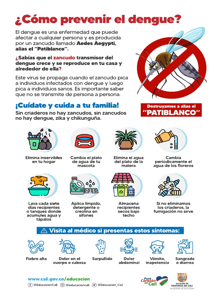 Afiche Dengue SED - Impresión (1) | PDF