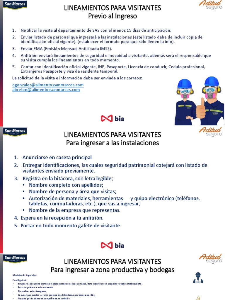 Lineamientos de Seguridad para Visitantes | PDF