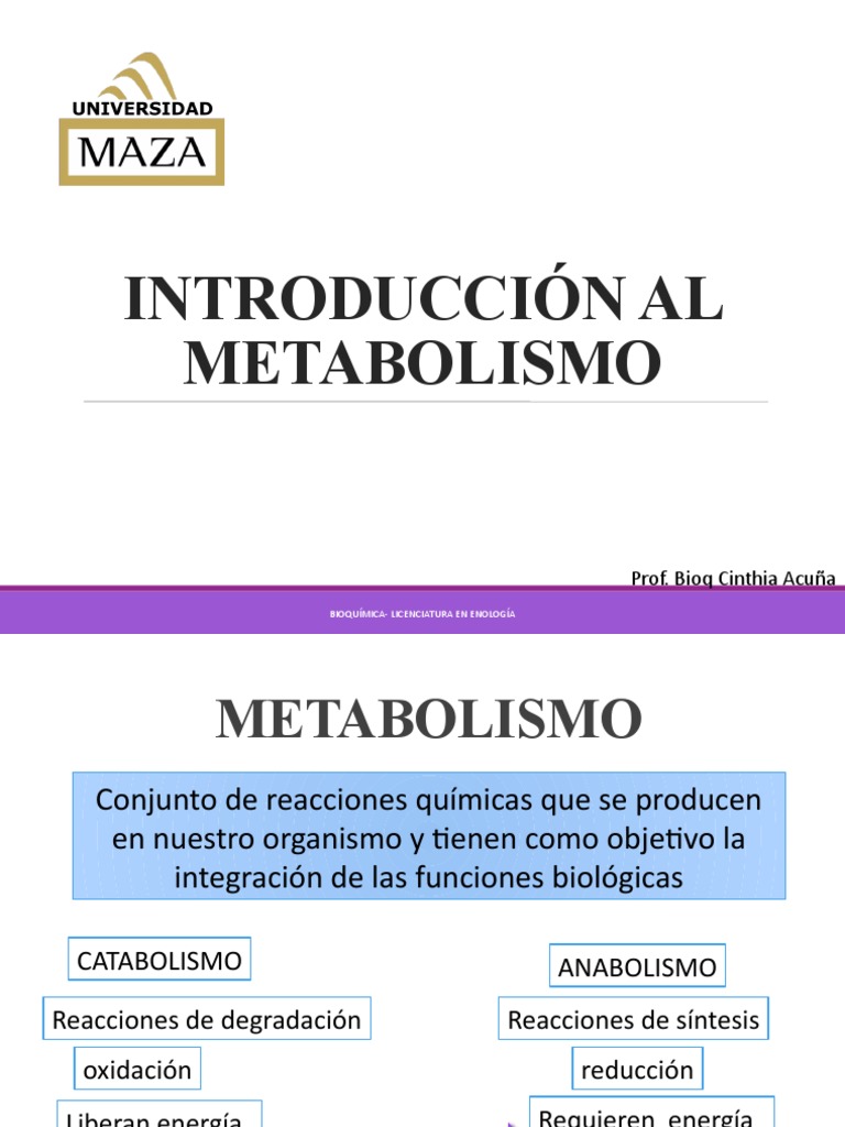 Introducción Al Metabolismo 2023 | PDF | Metabolismo | Trifosfato de adenosina