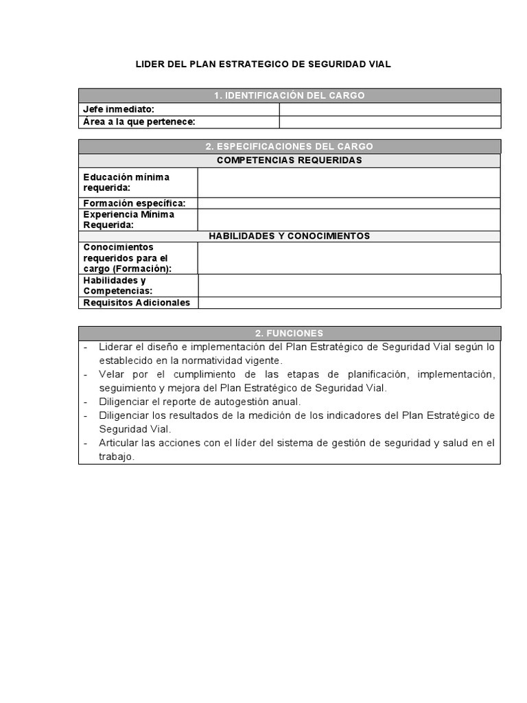 Perfil y Funciones Lider Del PESV | PDF