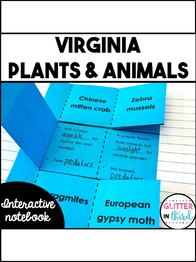 20 - Virginia's Natural Resources On Plants & Animals Interactive ...