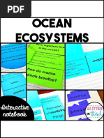 Food Chain Graphic Organizer | PDF | Foods