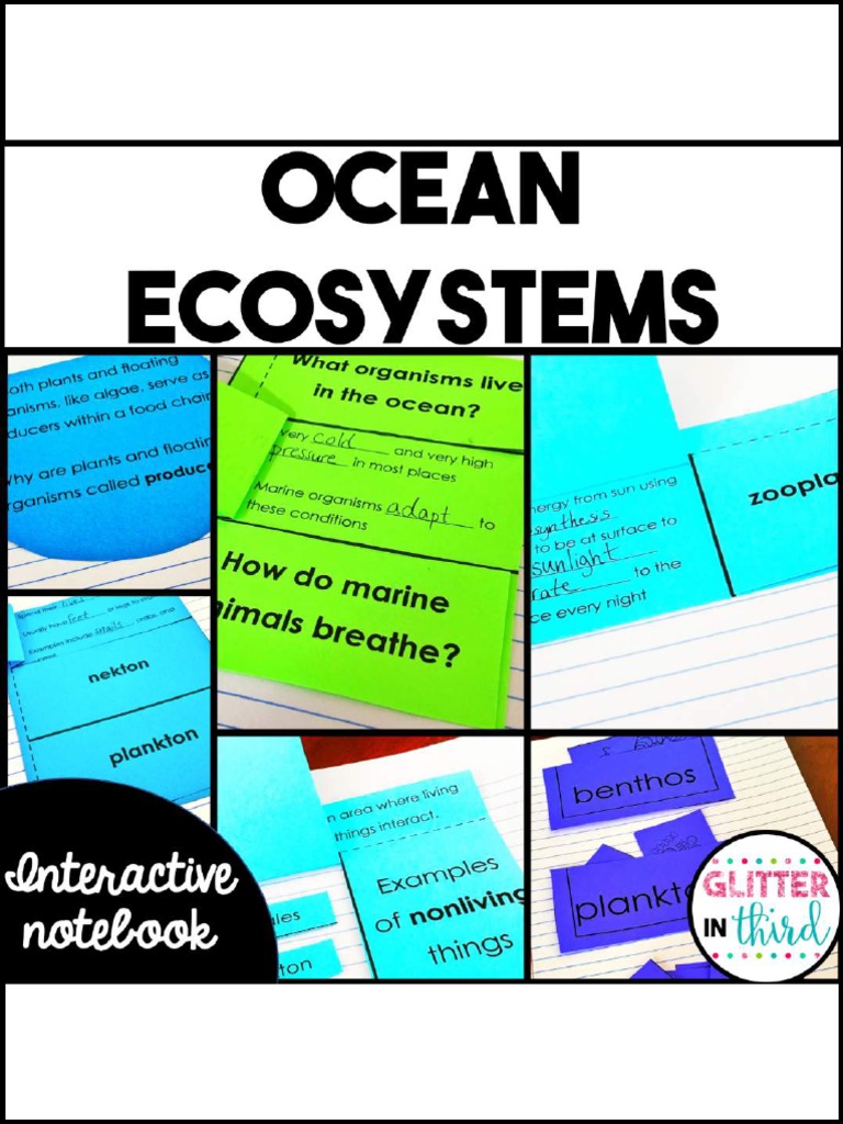 17 - Ocean ecosystem and organisms Interactive Notebook | PDF | Plankton | Oceans