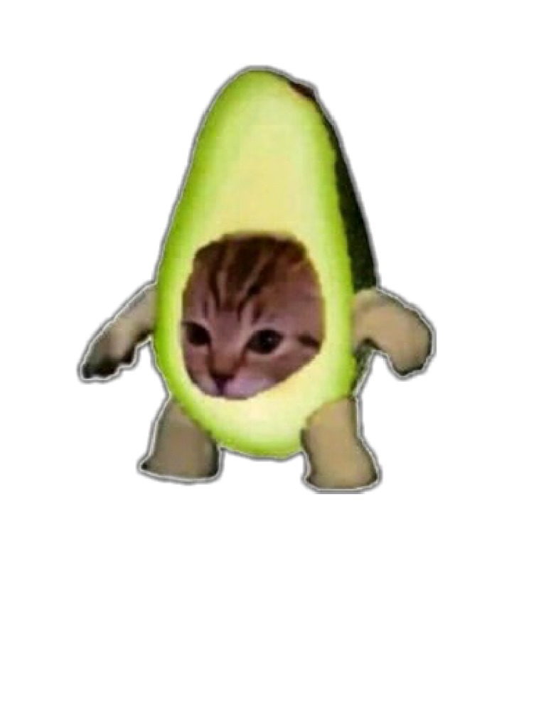 Gato Palta | PDF