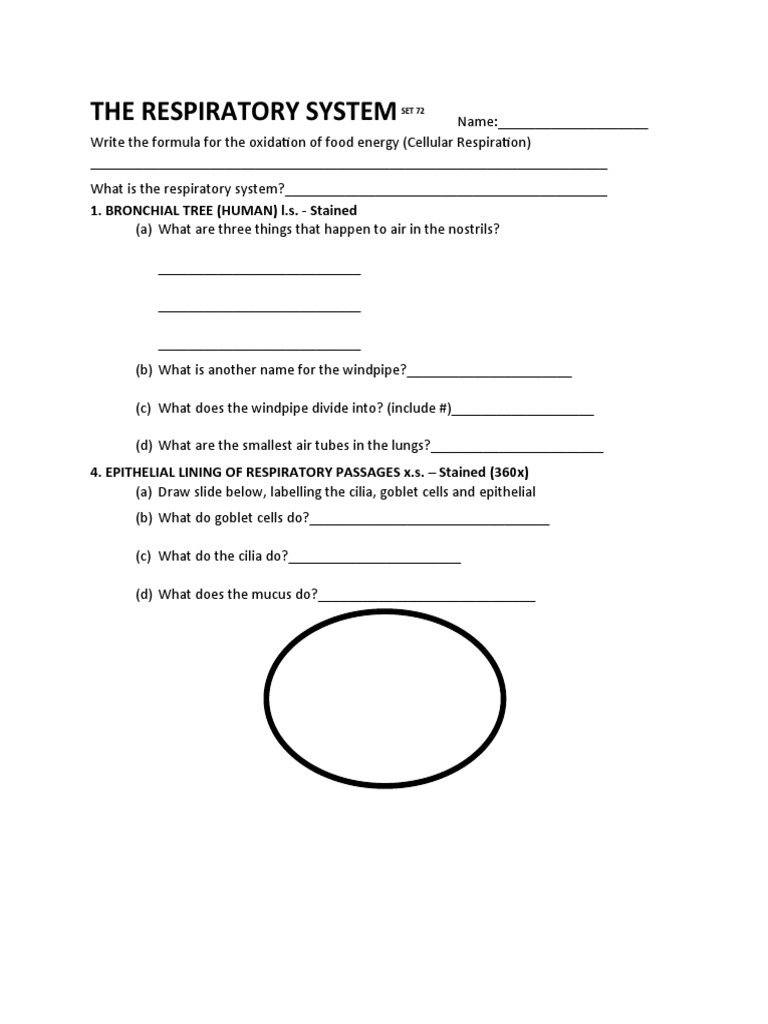 Respiration Microviewer | PDF | Science & Mathematics
