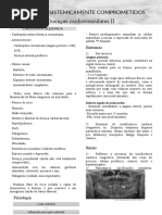 Anatomia Da Região Inguinal | PDF | Anatomia | Trato gastrointestinal