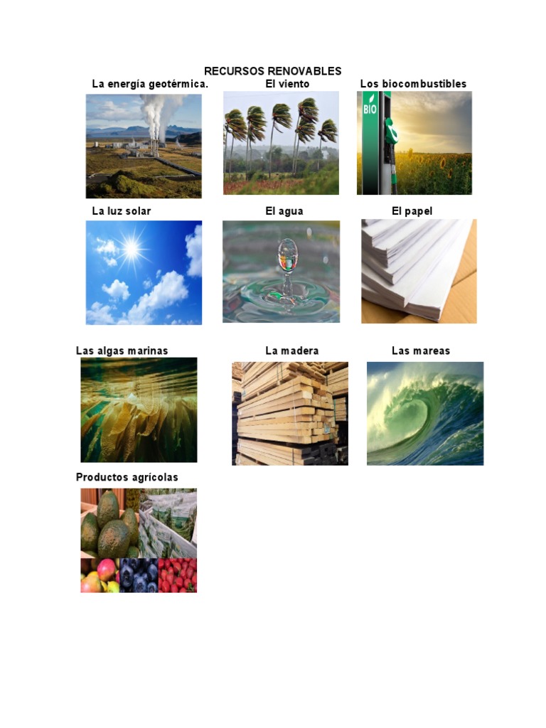 Recursos Renovables | PDF