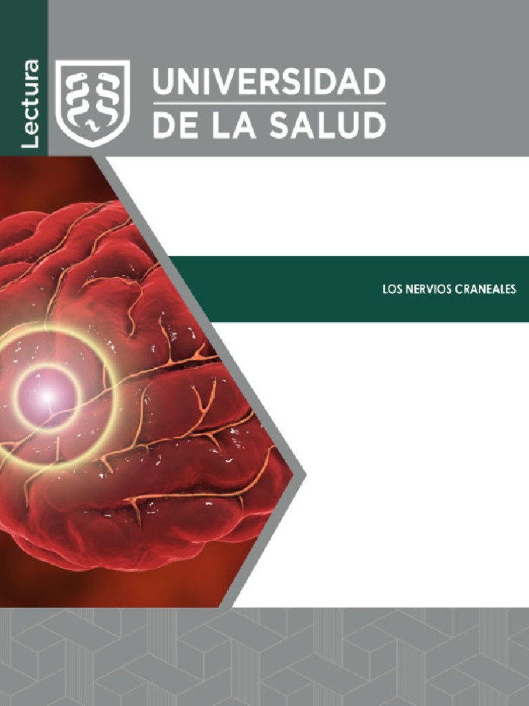 Capítulo 8 - Los Nervios Craneales. Barr El Sistema Nervioso Humano. Comprimido | PDF | Ojo ...