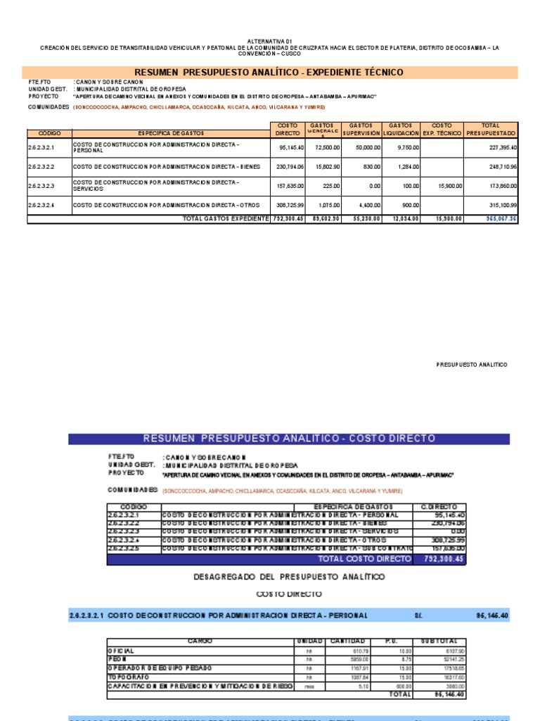 6.-Presupuesto Analitico | Descargar gratis PDF | Presupuesto