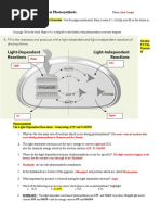 ACT Biology Practice Test DR Mai Abd El Salam 1 10 | PDF | Synapse ...