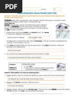 Nova Evolution Lab ANSWER KEYMissions1-3 PDF | PDF | Dinosaurs | Evolution