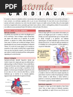 Función y Estructura de Valvas Semilunares | PDF | Circulación ...
