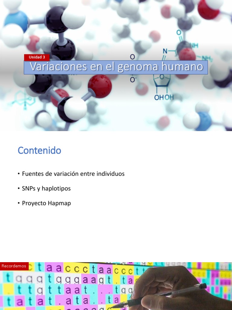 Proyecto Hapmap y variación genética | PDF | Reparación de adn | Adn