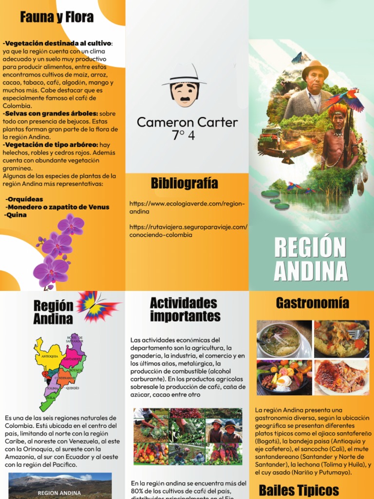 Plegable Region Andina | PDF