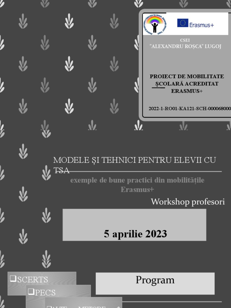 Prezentare Scerts | PDF