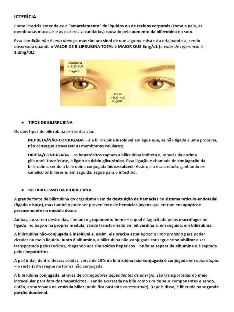 Icterícia | PDF | Bile | Sistema exócrino