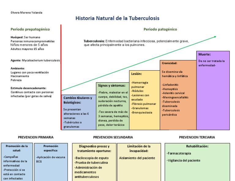 Historia Natural de La Tuberculosis | PDF | Tuberculosis | Enfermedades ...