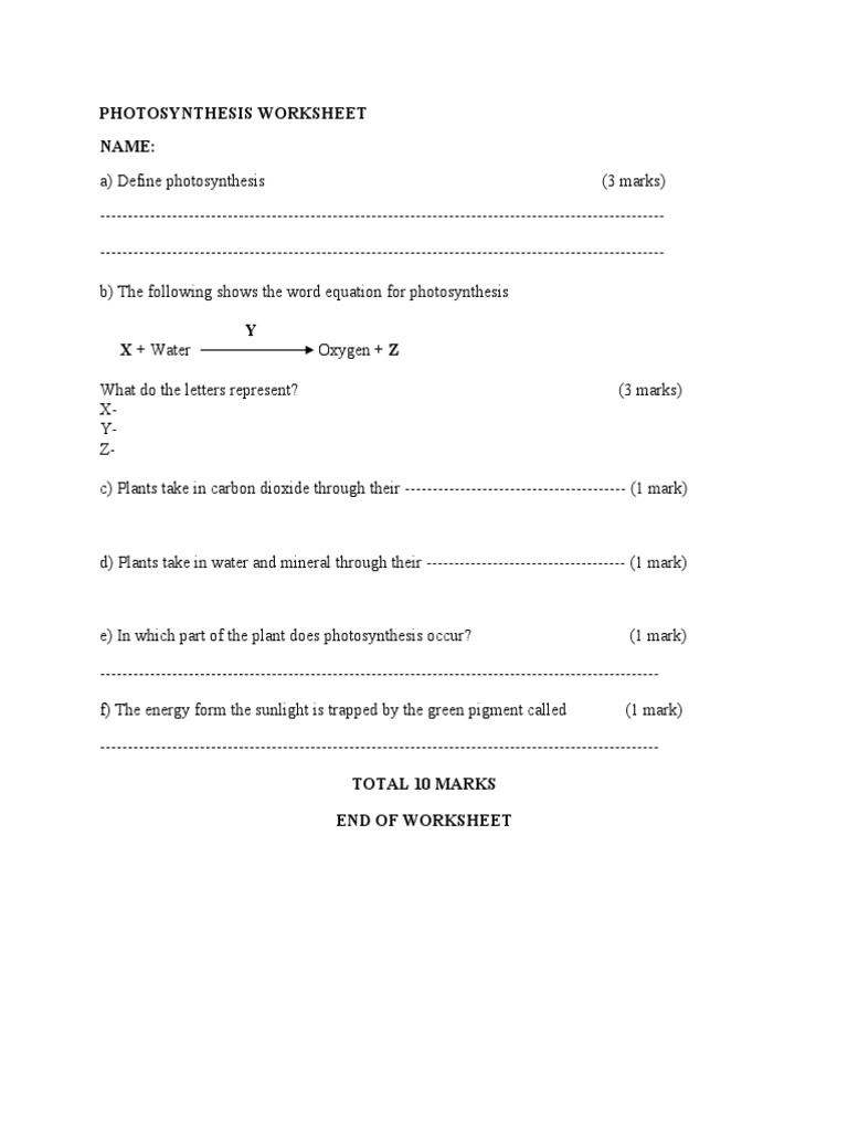 PHOTOSYNTHESIS WORKSHEET | PDF