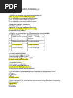 Year 8 Breathing and Respiration Guide | PDF | Respiratory System ...