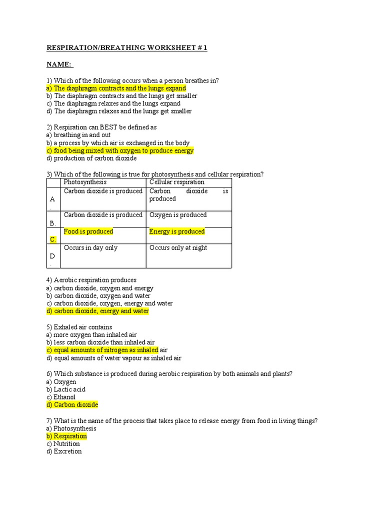 WORKSHEET 1 RESPIRATION AND BREATHING ANSWERS | PDF | Breathing | Oxygen