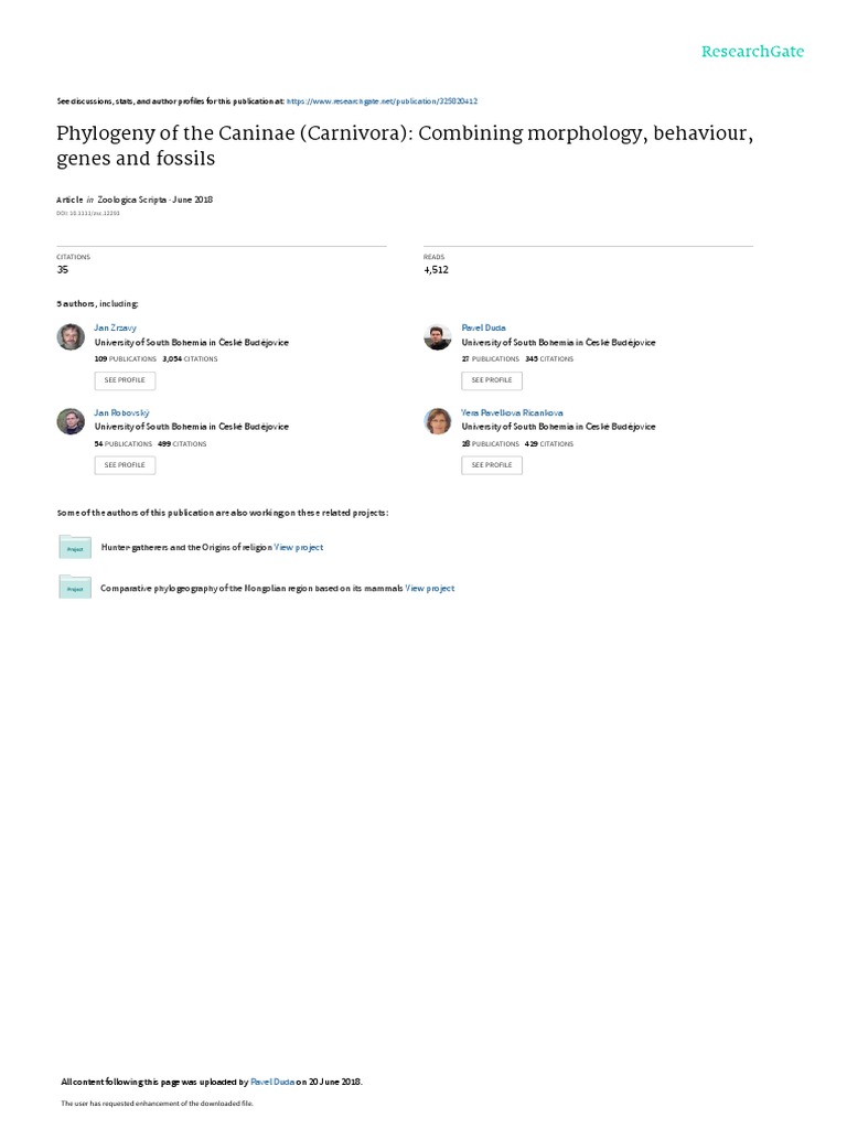 Caninae Phylogeny: Morphology & Genes | PDF | Canis | Canidae