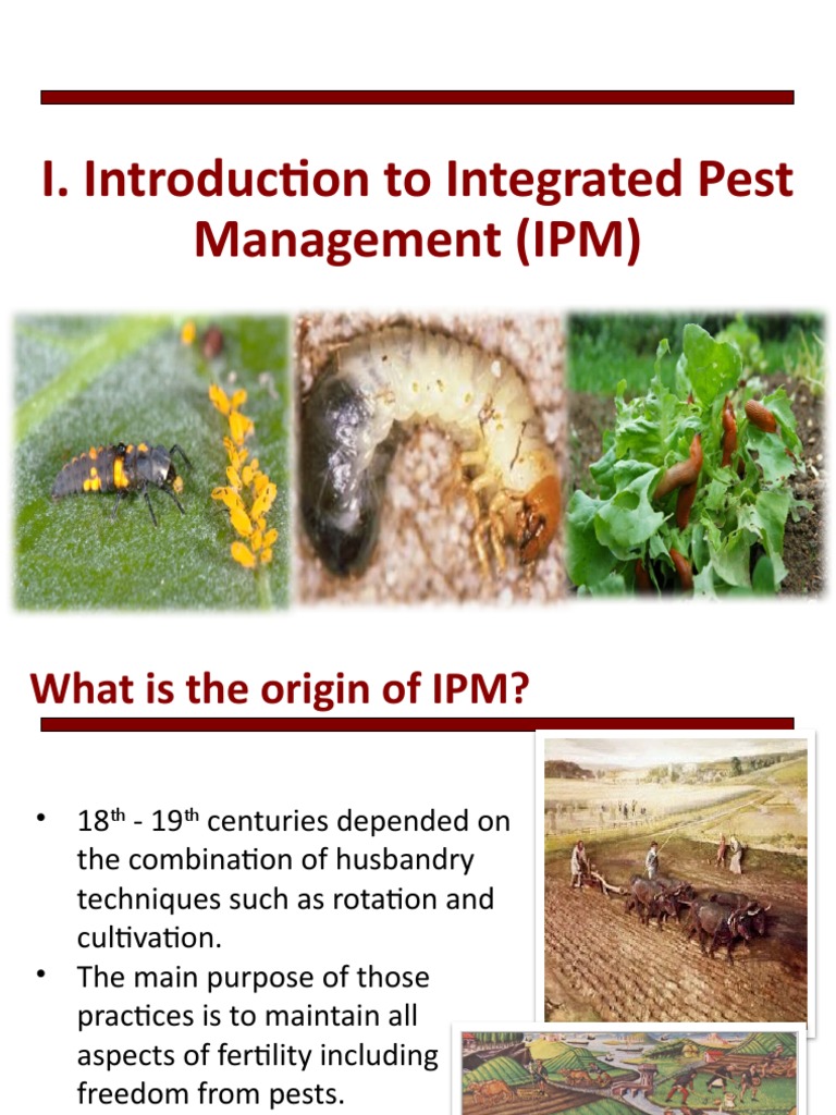01 IPM Introduction14 | PDF | Pesticide | Pest Control