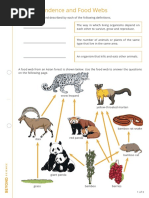 3rd Grade - Food Chain Worksheet | PDF
