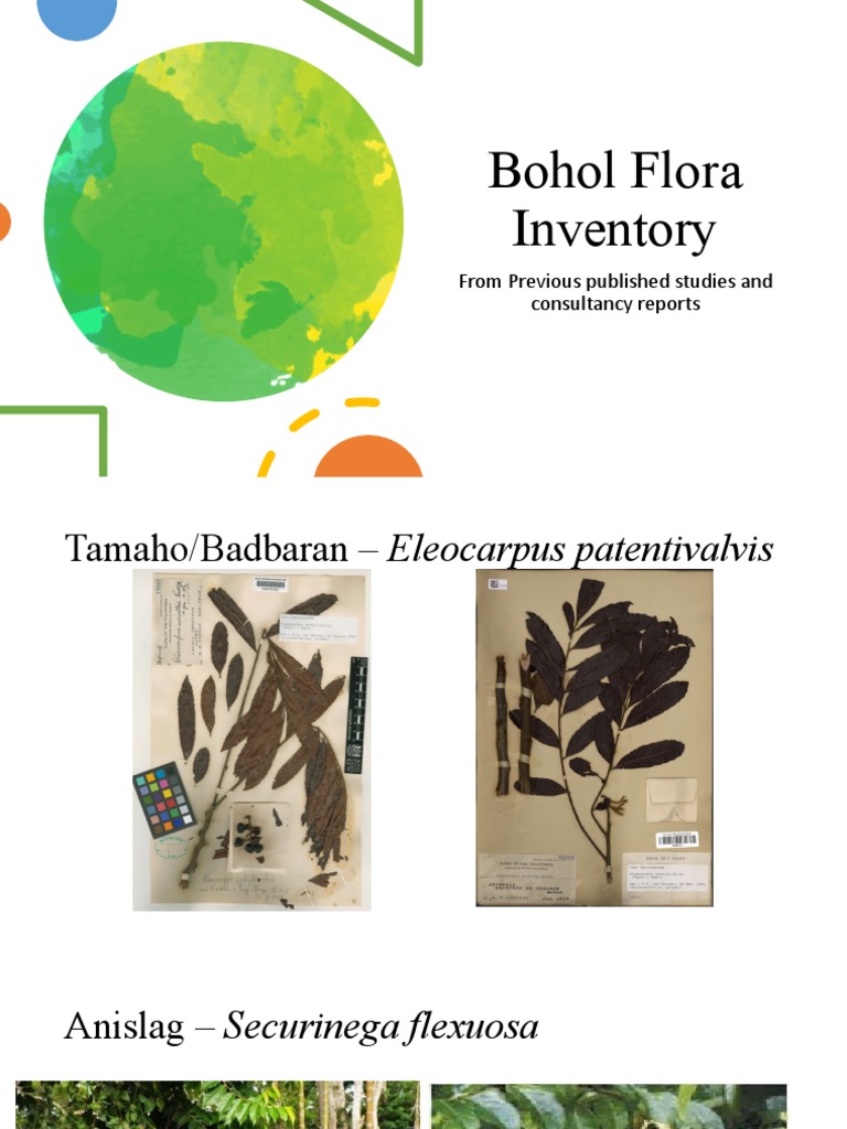 Flora and Fauna Inventory | PDF | Plants | Trees