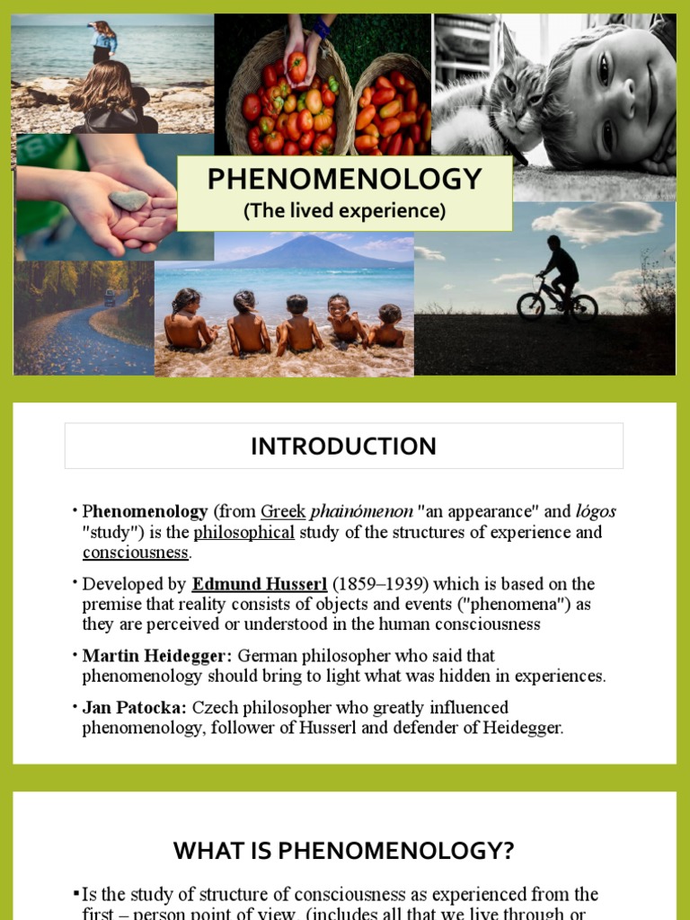 Phenomenology | PDF | Phenomenology (Philosophy) | Experience