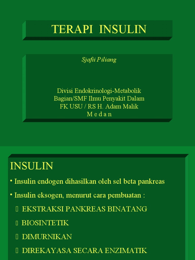 Terapi Insulin | PDF