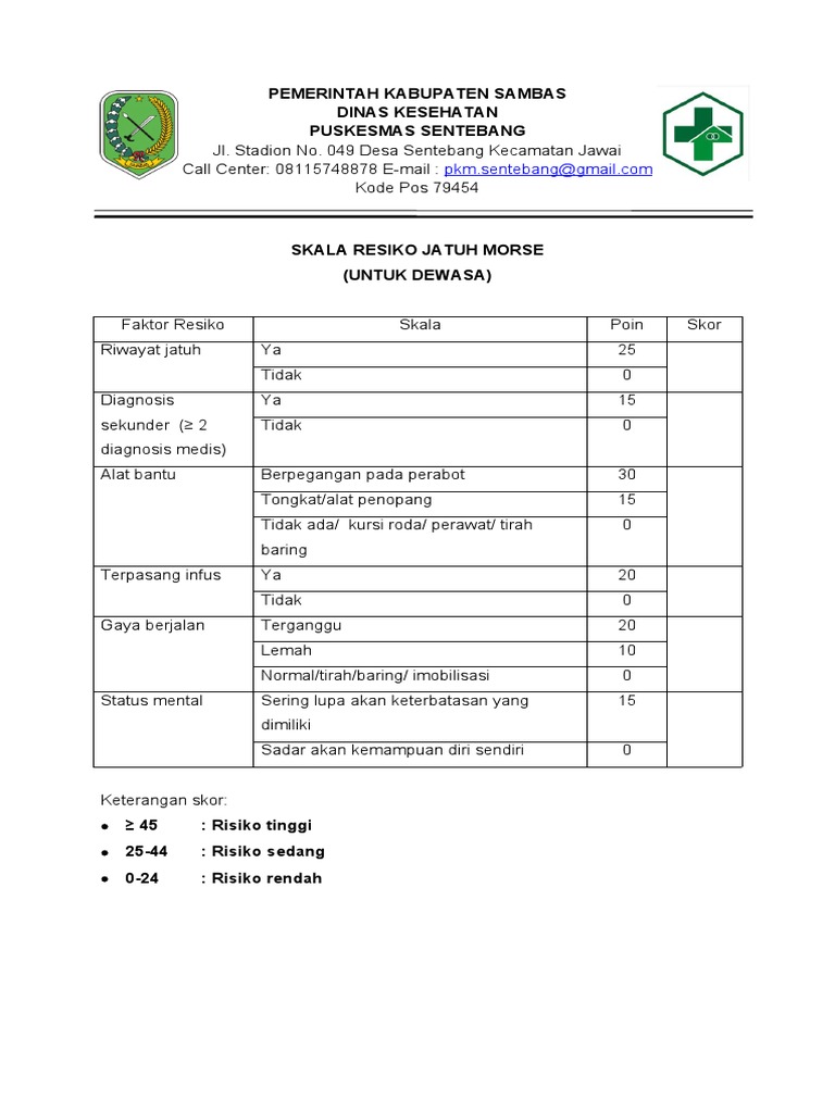 5351 Skala Resiko Jatuh Dewasa | PDF