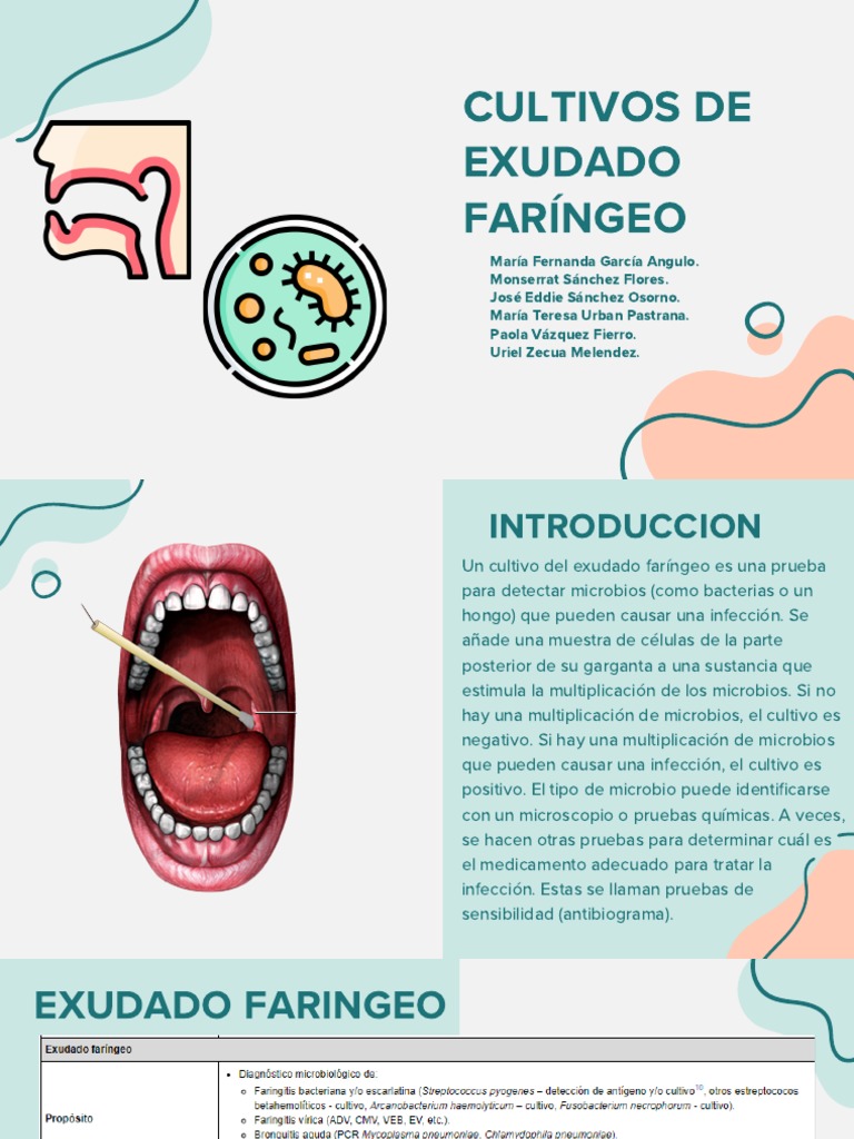 Cultivos de Exudado Faríngeo | PDF | Medicina CLINICA | Enfermedades y ...