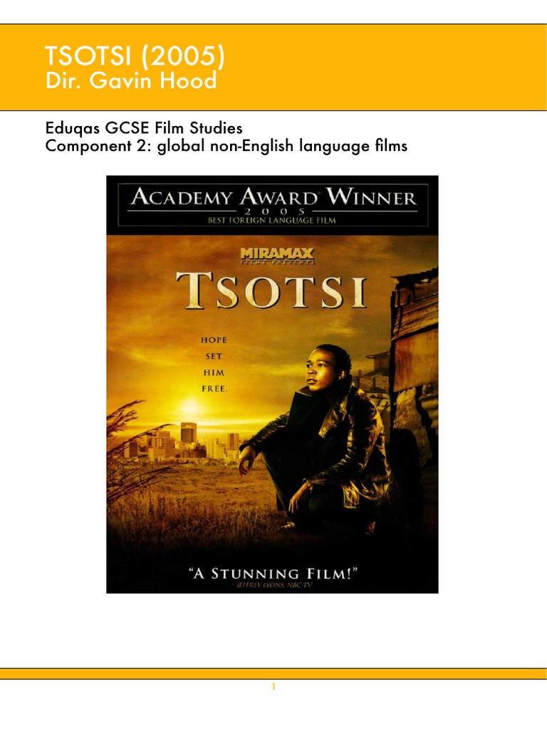 Tsotsi Booklet Compressed | PDF